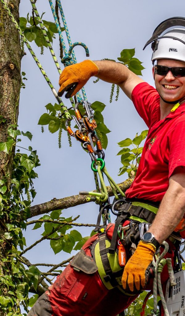 Gallery - CG Tree Care